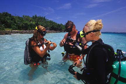 divetrain_432.jpg