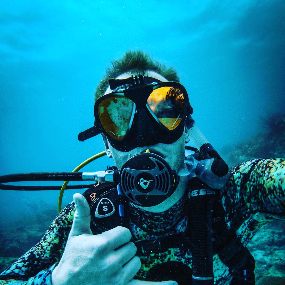 2 tank daily Boat dive just $120 ! Please click Here to book your trip